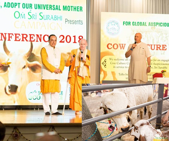 Cow Culture conference 2018 – California - Mayapur Voice