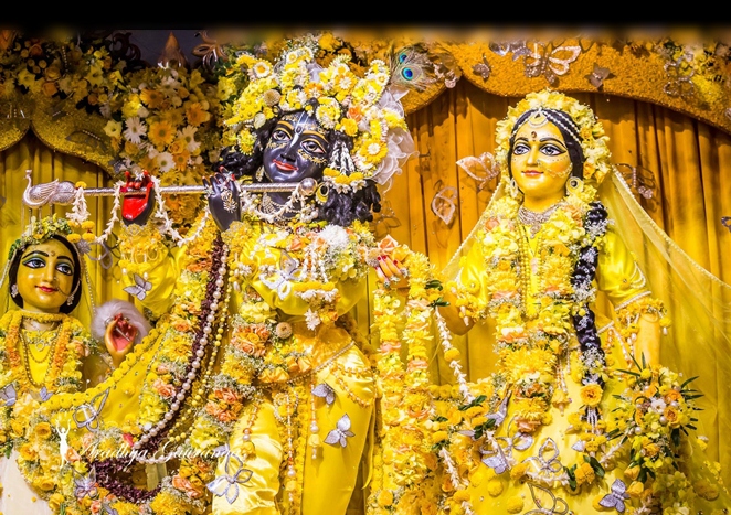 It's Springtime! Celebrating Vasanta Panchami in Sridham Mayapur ...